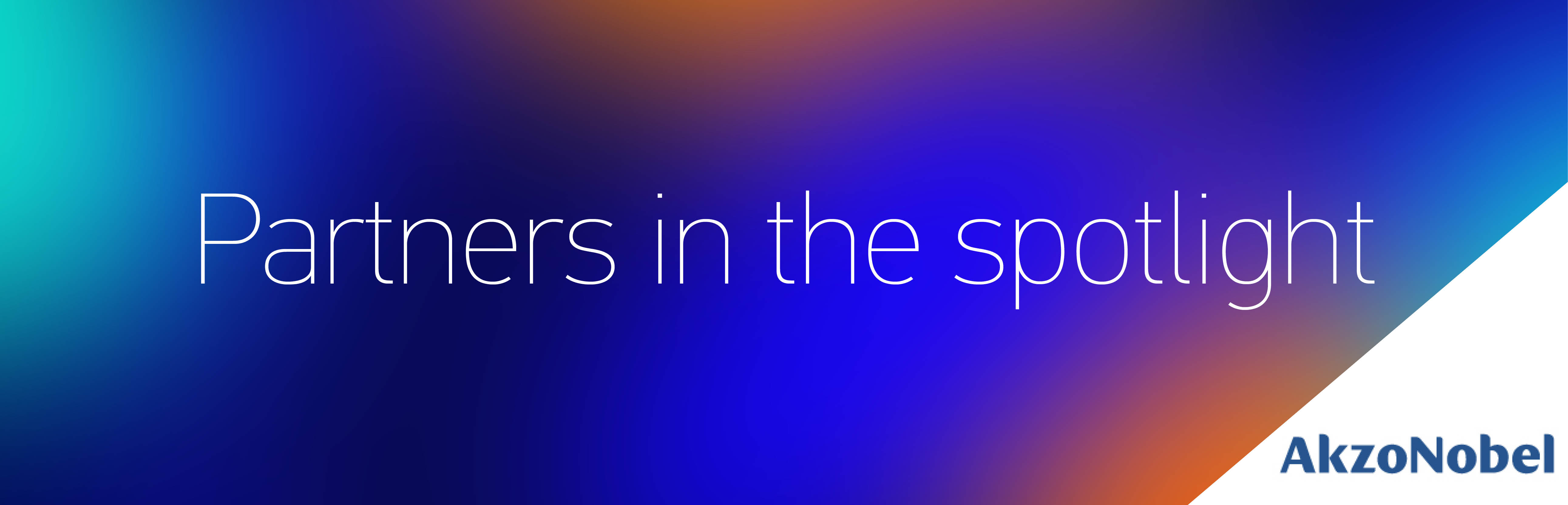 PARTNER IN THE SPOTLIGHT – AKZONOBEL – BANNER – IBIS Worldwide